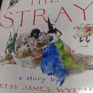 n/a | Other | The Stray Book St Edition | Poshmark